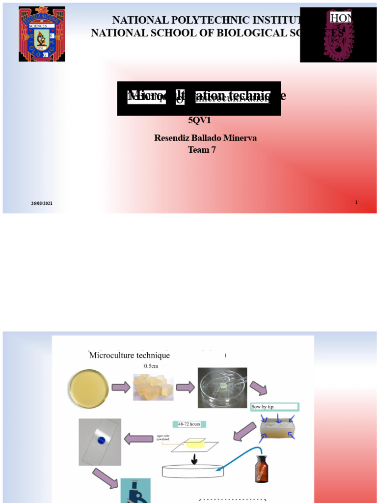 Microcultivation Techniques in Mycology | PDF
