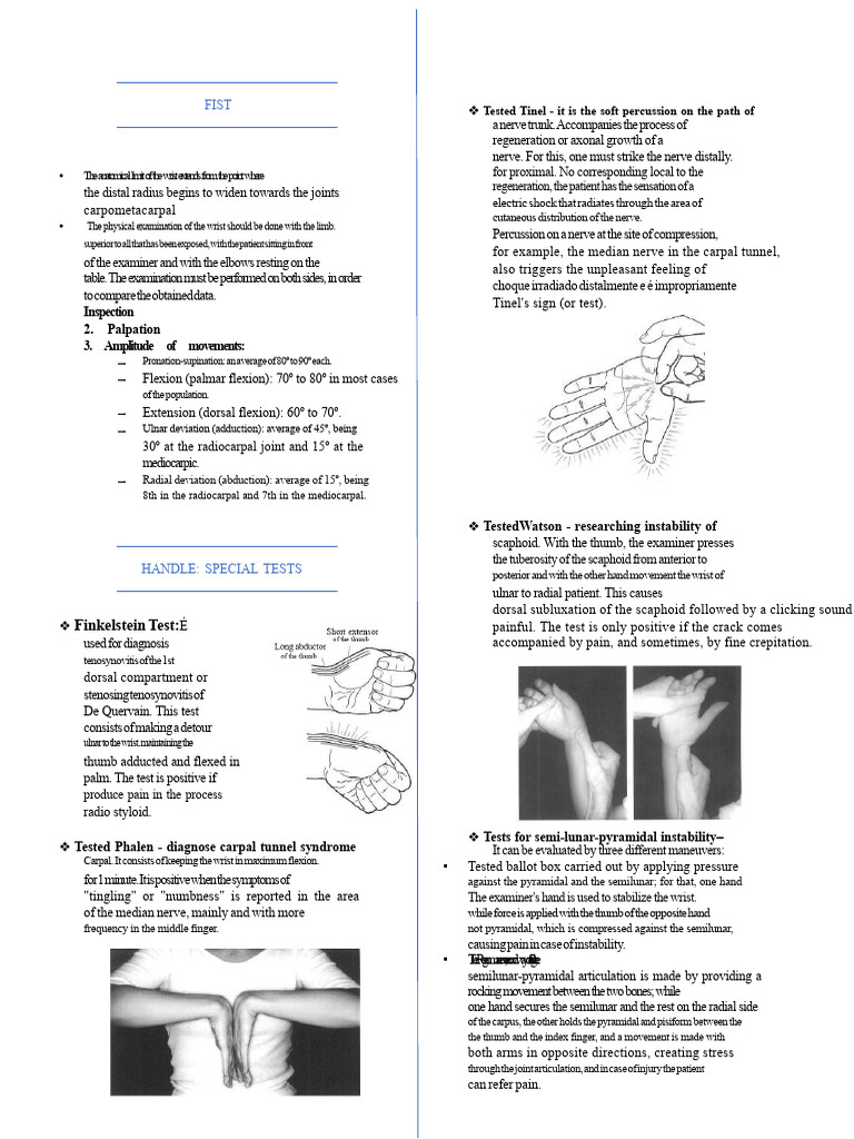 Orthopedic Physical Examination Summary | PDF | Anatomical Terms Of ...