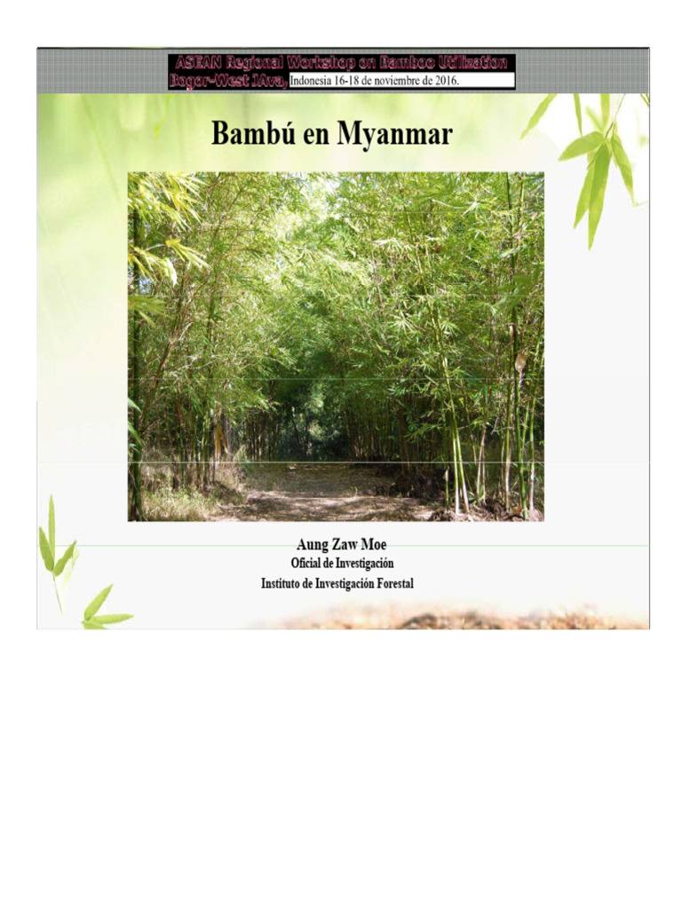 Recursos y Sostenibilidad del Bambú en Myanmar | PDF | Los bosques ...