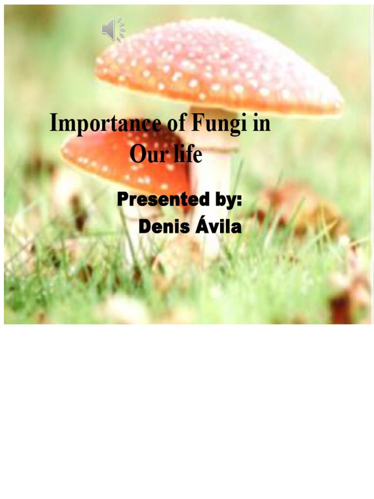 Importance of Fungi For Our Life | PDF | Fungus | Nutrition