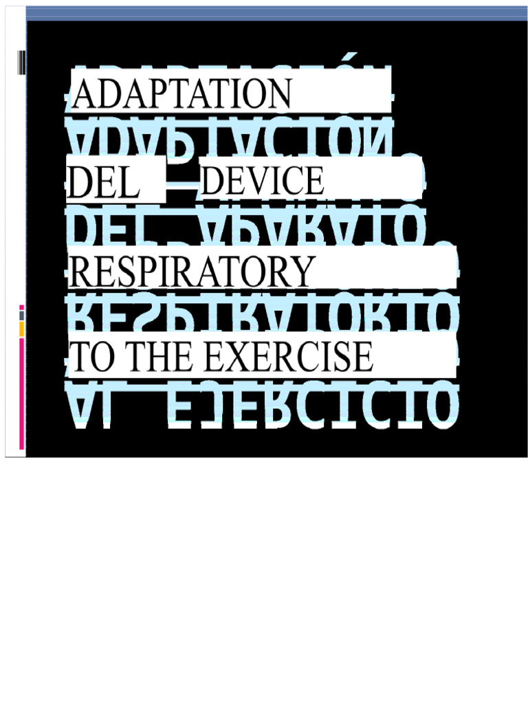Respiratory System and Exercise Adaptations | PDF | Respiratory System ...