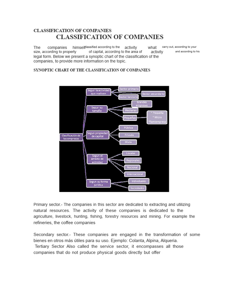 Classification of Companies | PDF | Business Economics | Business