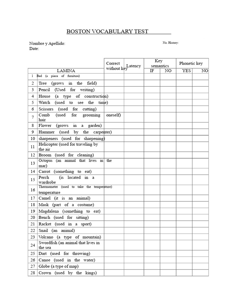 Boston Vocabulary Test Guide | PDF