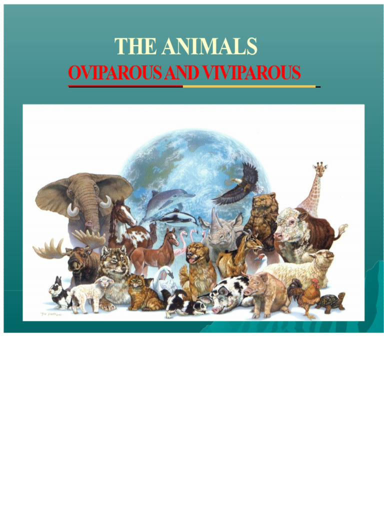 oviparous and viviparous animals-converted | PDF
