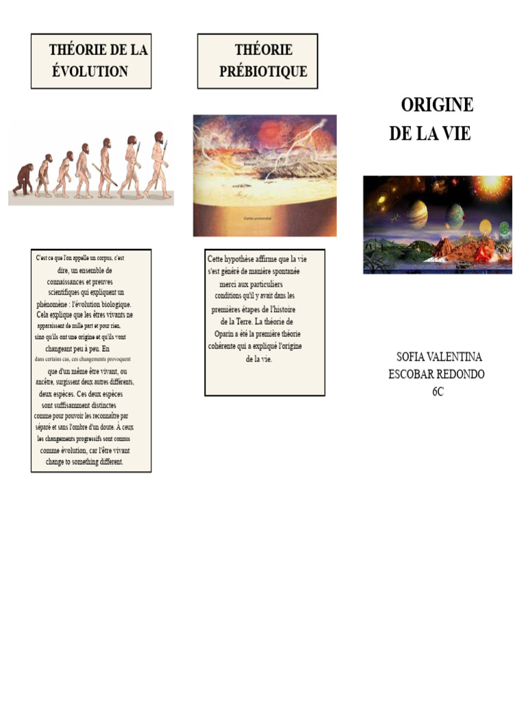 Origine de la vie : théories clés | PDF | Vie | Évolution