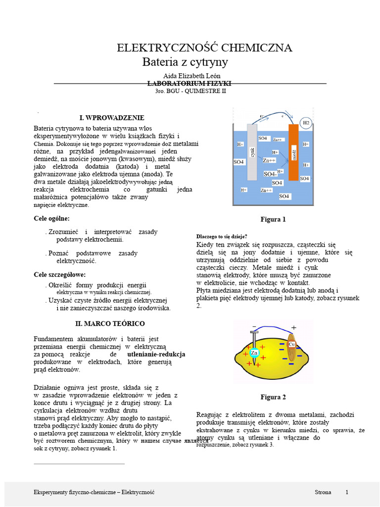 Stos Cytryn | PDF