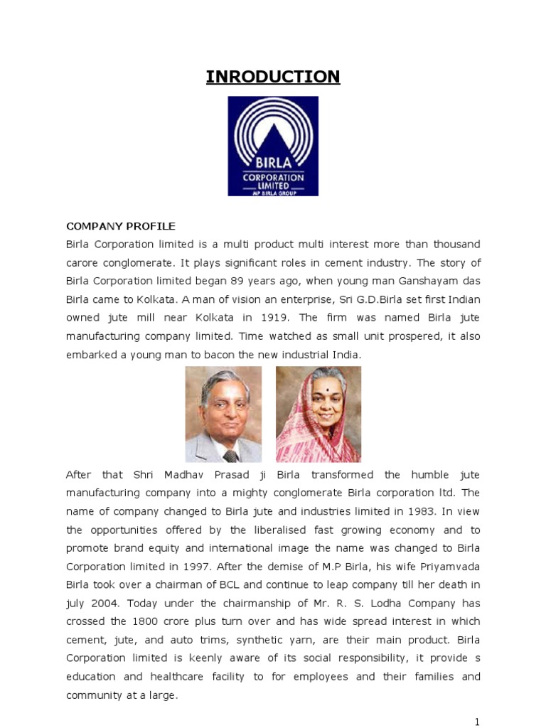 Birla Cement Project Ankit Singh | Download Free PDF | Cement | Concrete