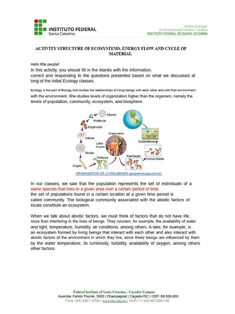 Energy Flow Activity and Matter Cycle | PDF | Ecosystem | Ecology