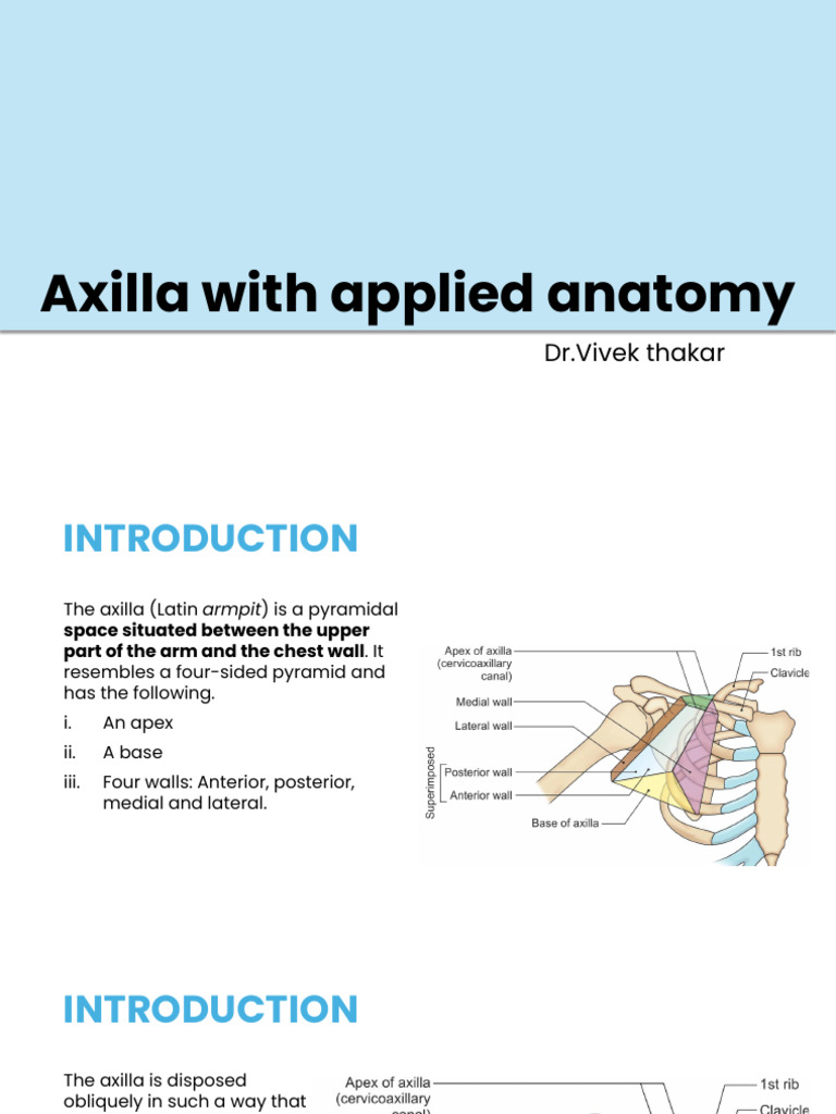Axilla With Applied Anatomy | PDF | Musculoskeletal System | Limbs ...