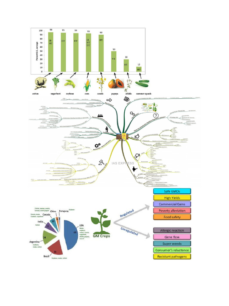 Bio Print Out | PDF