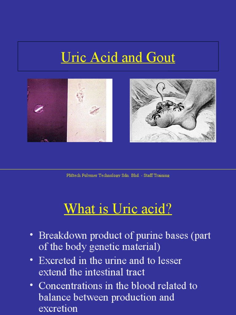 Presentation - Uric Acid | Gout | Rtt