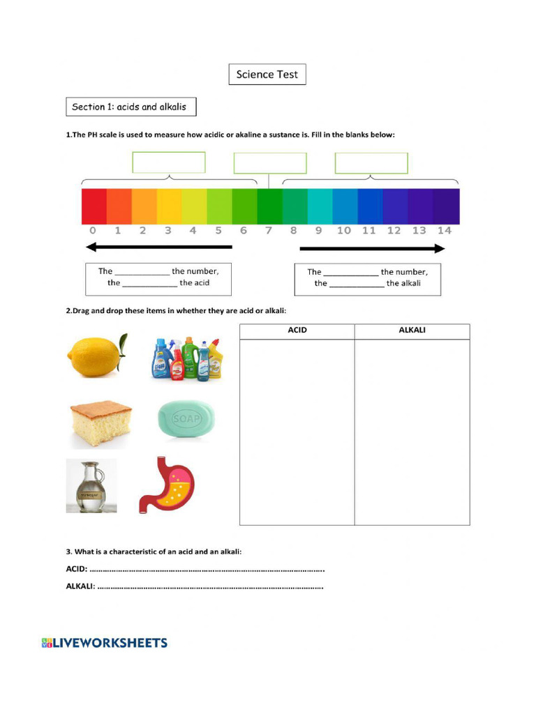 Worksheet (Acid and Alkali) | PDF