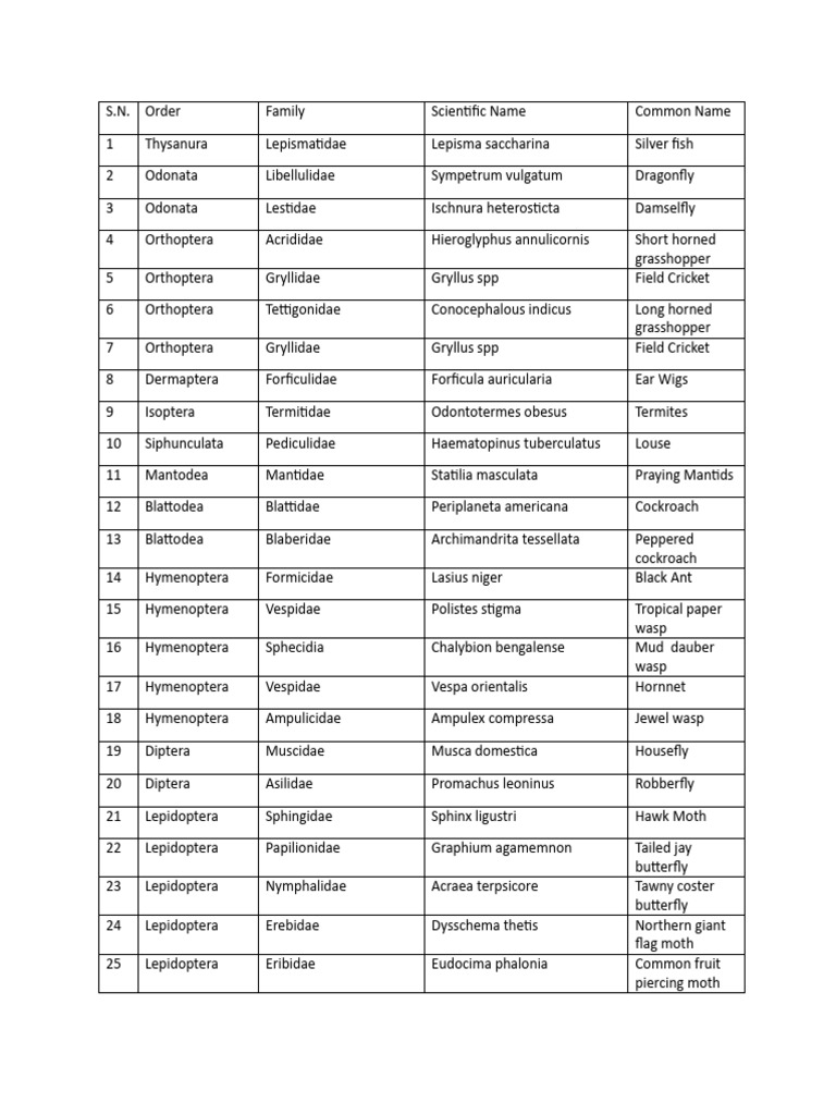 Insect Species Classification List | PDF | Beetle | Insects