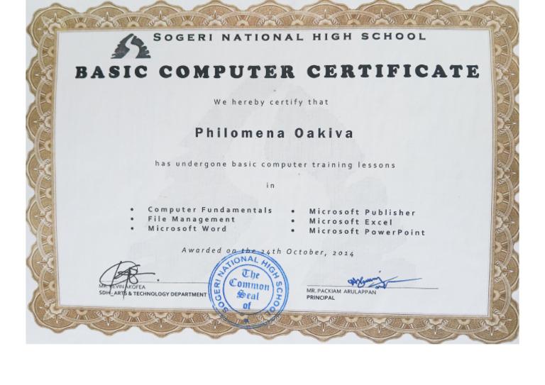 Basic Comp Cert | PDF
