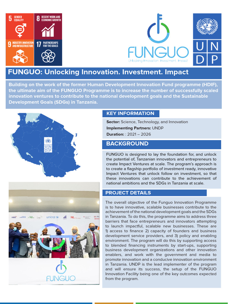 FUNGUO Program: Scaling Innovation in Tanzania | PDF | Startup Company ...