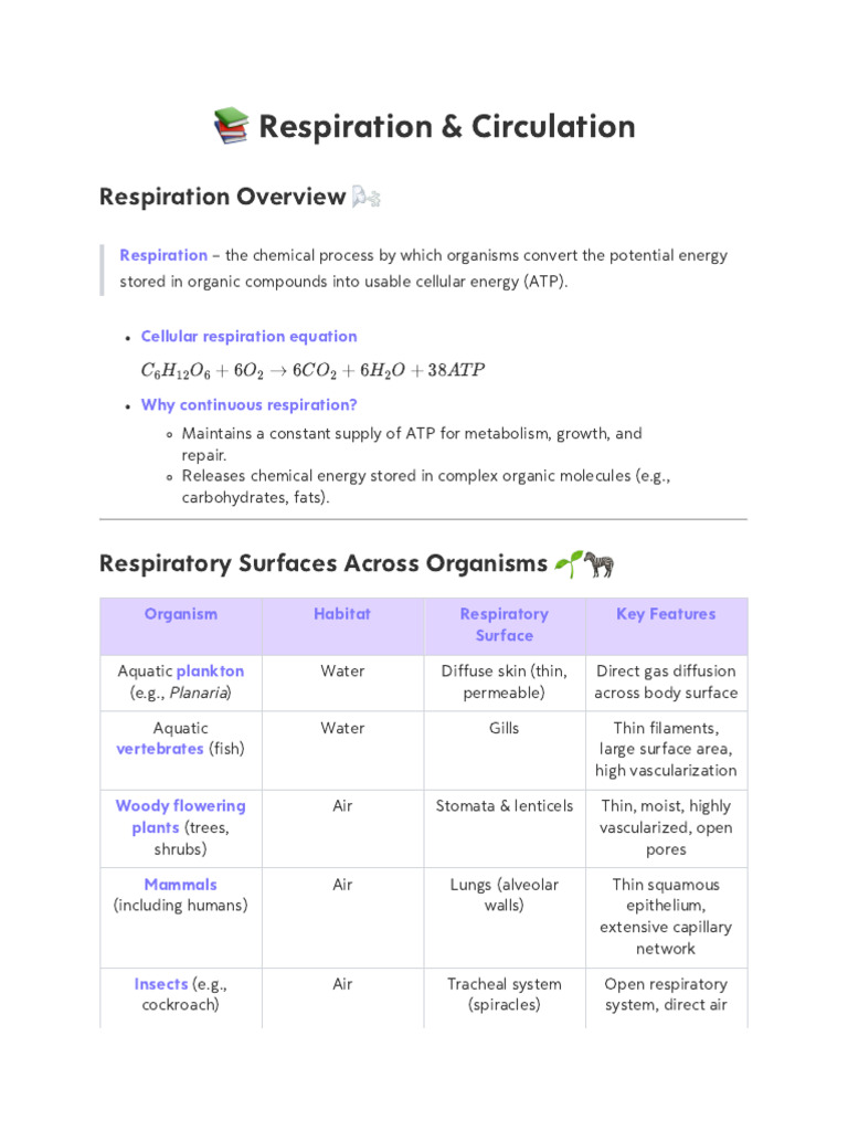 Respiration and Circulation Overview | PDF | Lung | Respiratory System