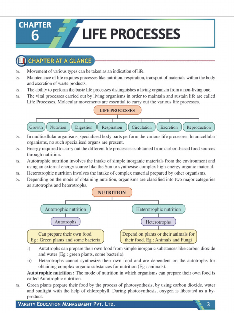 Life Process | PDF