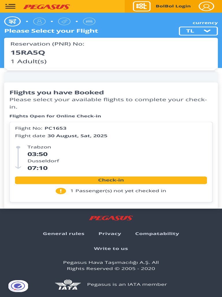 Pegasus Online Check-in Instructions | PDF