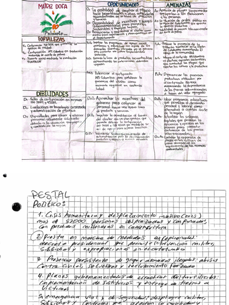 Matriz DOFA, PESTAL y Partes Interesadas de PALNORTE S.a.S | PDF