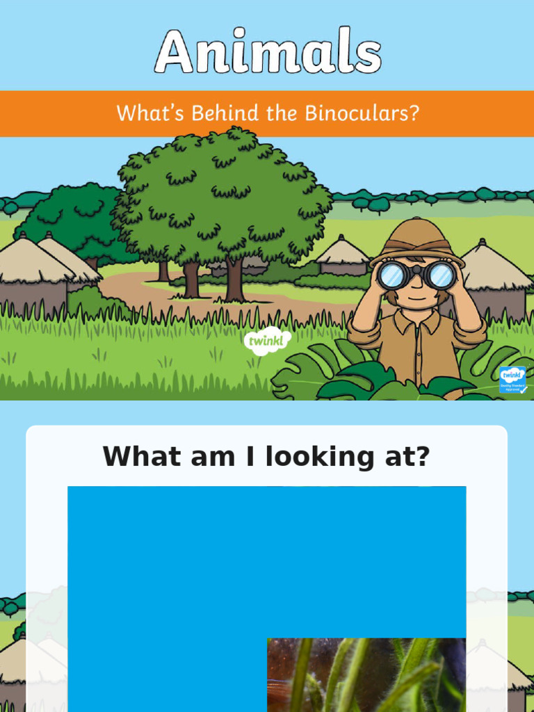 T TP 686 Animals Whats Behind The Binoculars PowerPoint Game - Ver - 1 ...