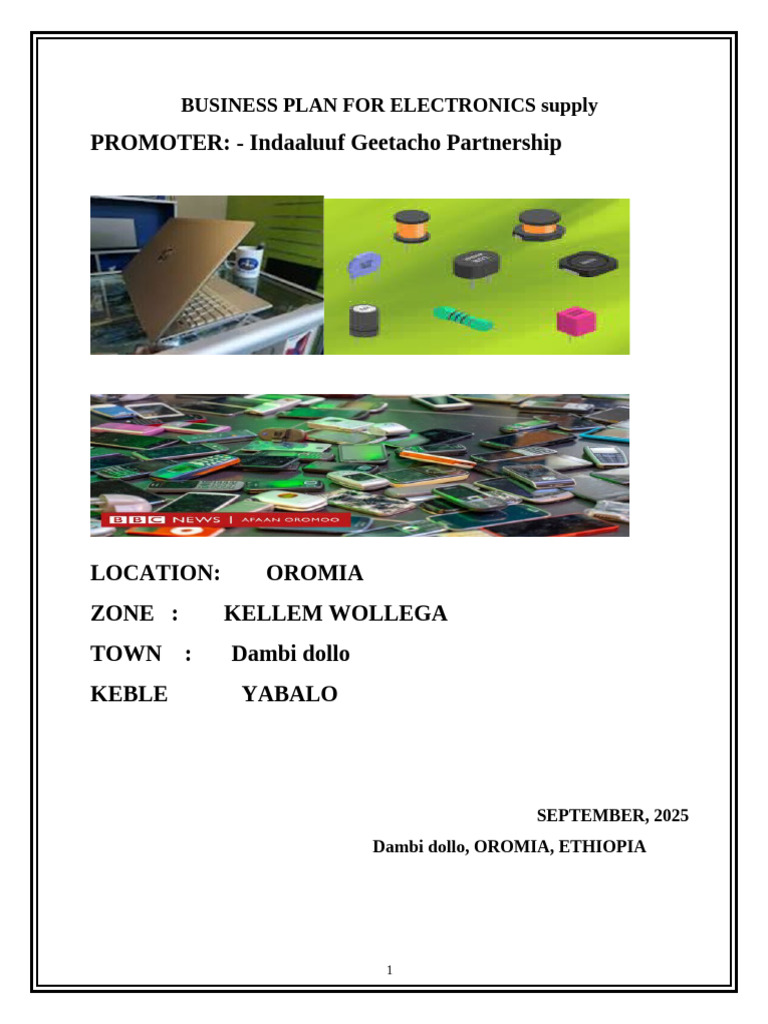 Indalu Fi Getacho Electronics Business Plan | PDF | Net Present Value ...