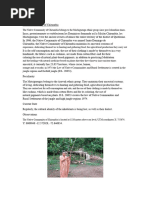 Pirahã Indigenous People Overview | PDF | Kinship