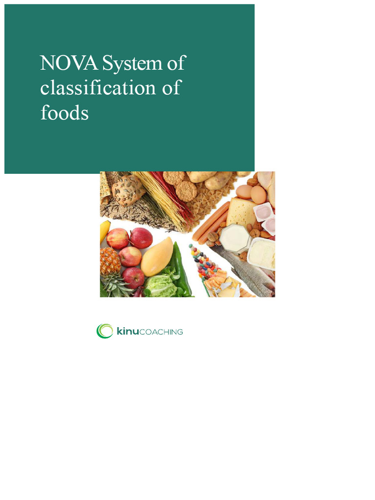NOVA Food Classification System Explained | PDF | Foods | Food Science