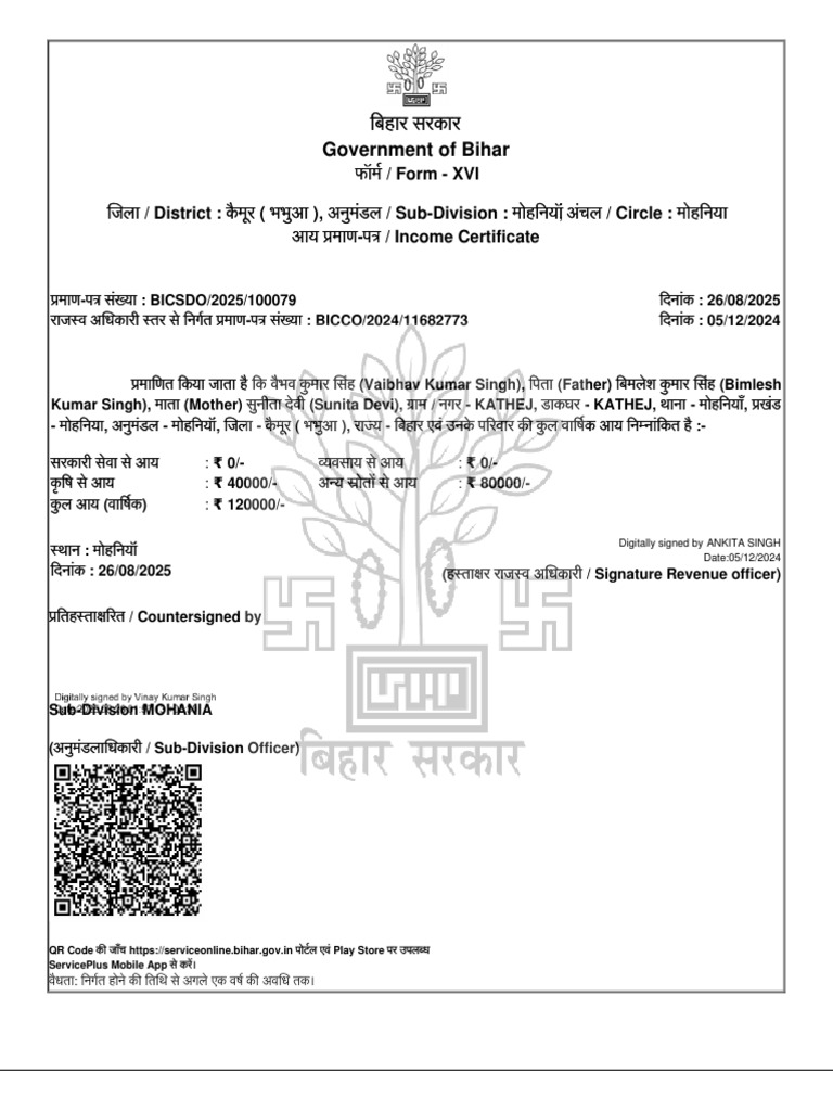 BICSDO_2025_100079 | PDF