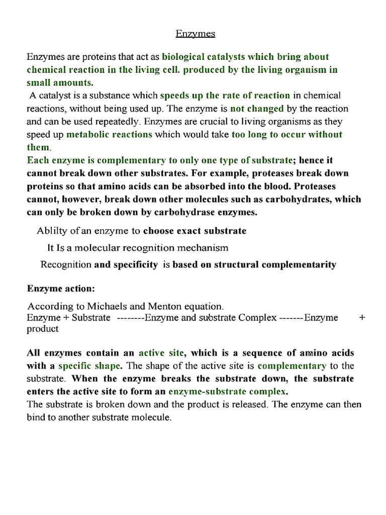Enzymes - Biomolecules | PDF