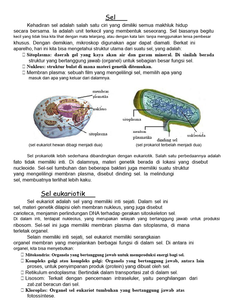 Struktur dan Jenis Sel: Eukariot vs Prokariot | PDF