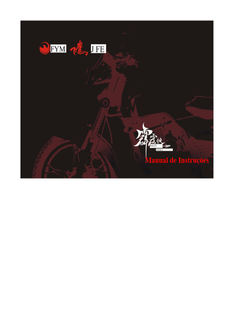 Manual do Usuário da Motocicleta Feiying | PDF | Pneu | Motocicleta