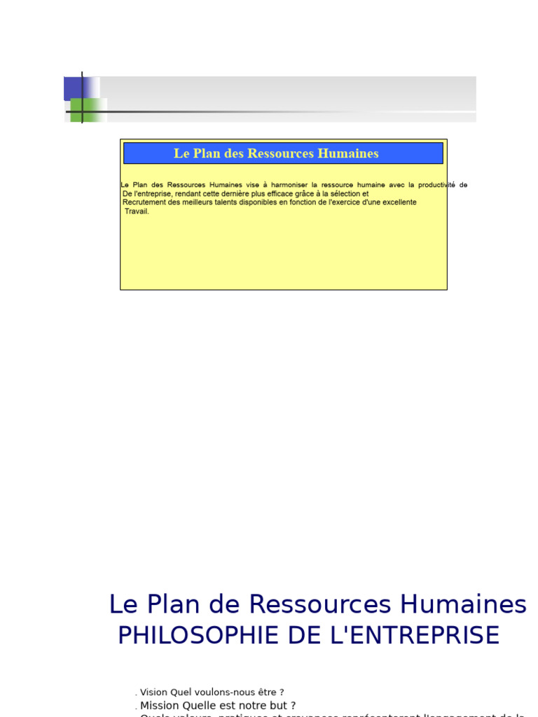 Plan de Ressources Humaines | PDF | Gestion des ressources humaines ...