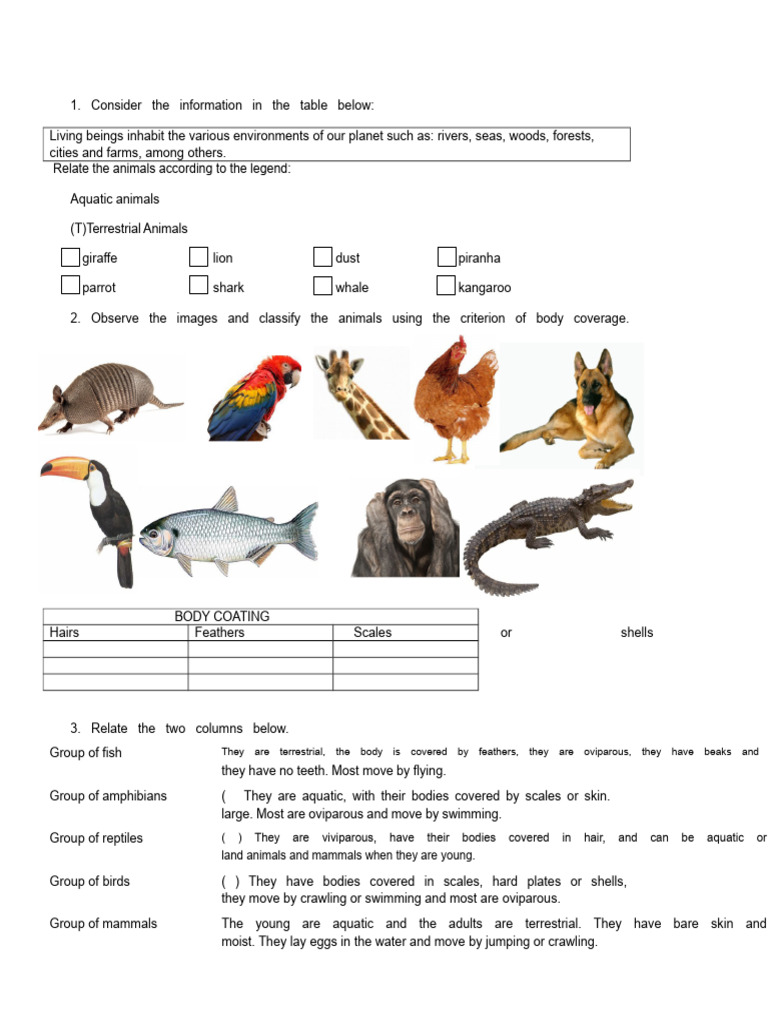 Animal Classification and Habitats Guide | PDF | Reptile | Mammals