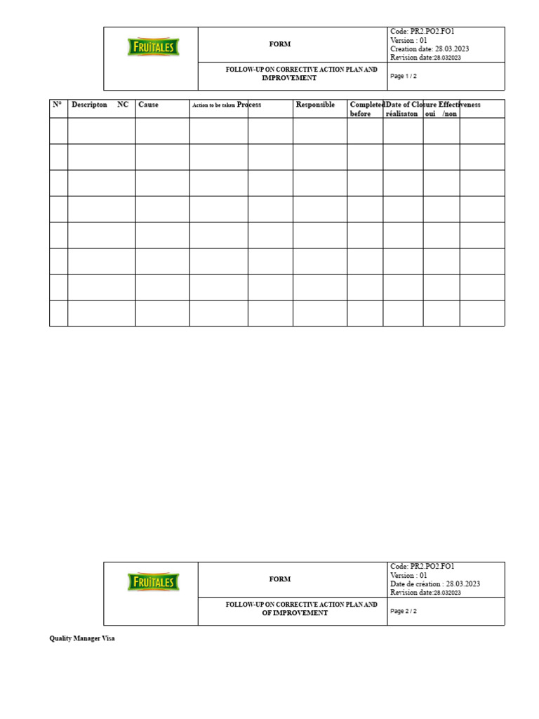 corrective action plan sheet | PDF