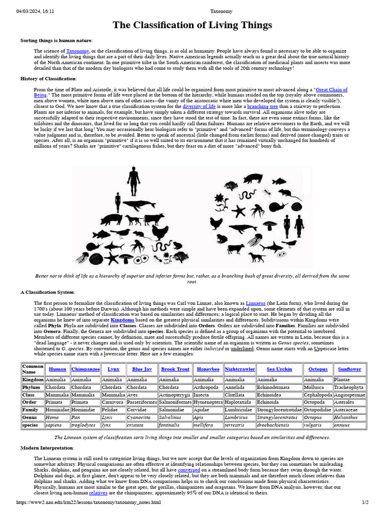 Understanding Taxonomy of Living Things | PDF | Biology | Organisms