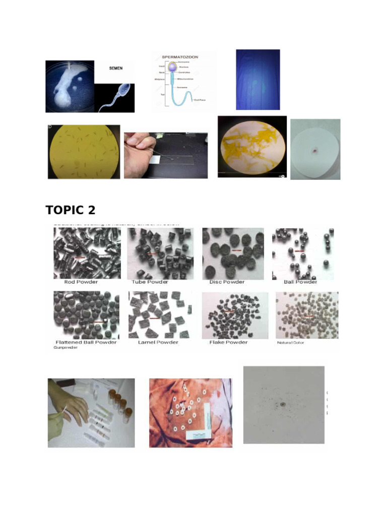 Forensic Chemistry and Toxicology Photos | PDF