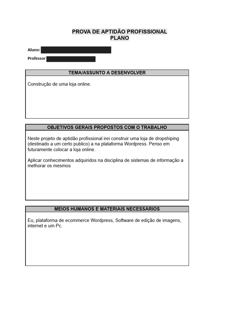 Exemplo de Plano Da PAP | PDF