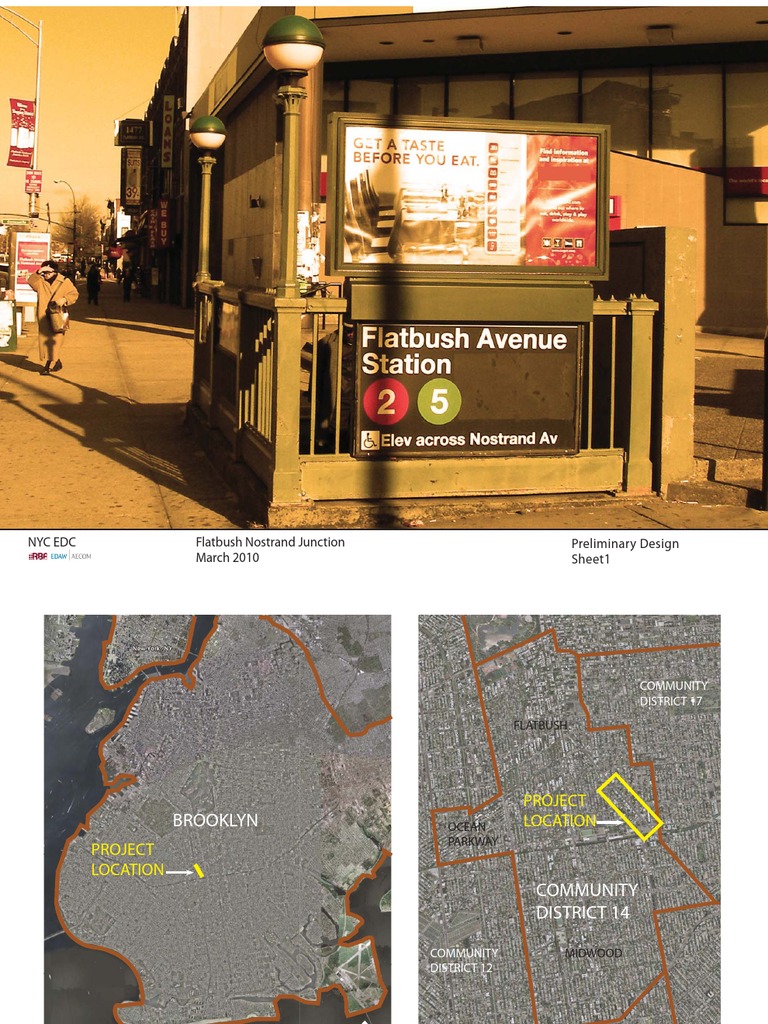 Flatbush Junction Design Overview | PDF | Brooklyn | Plant Life Form