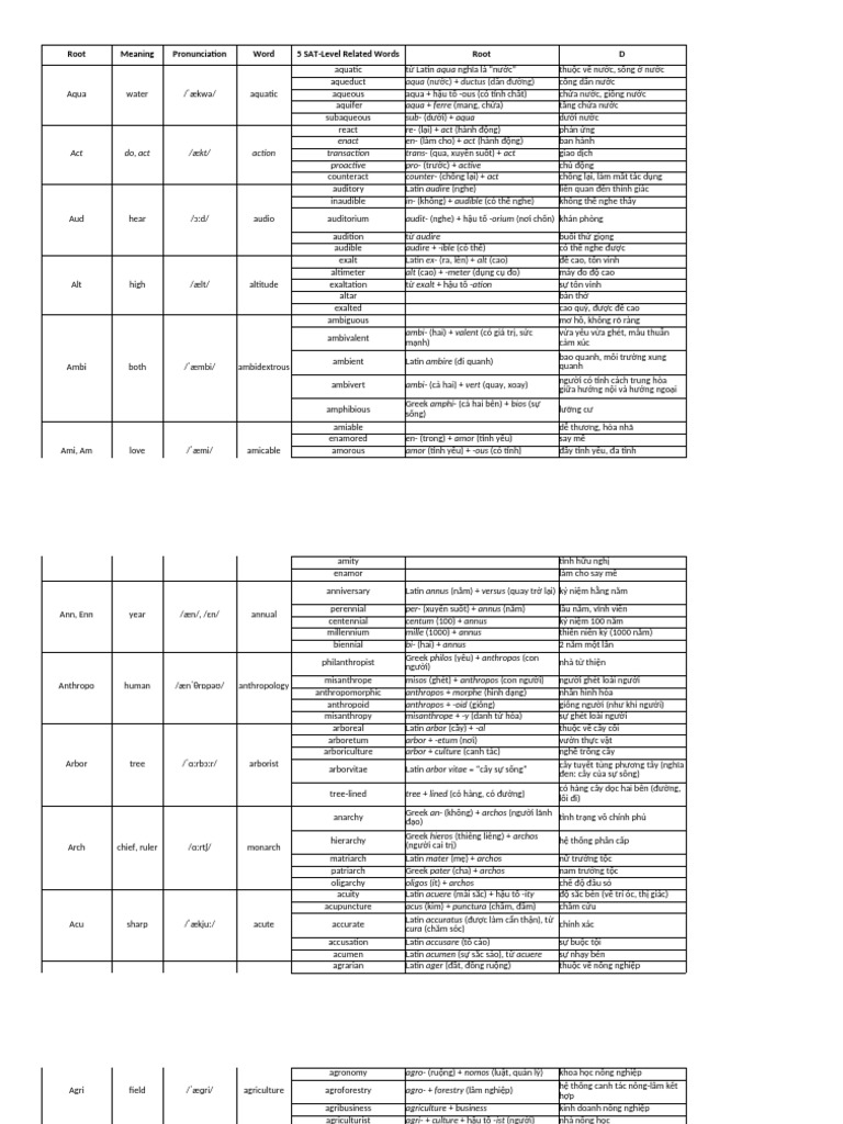 20 Root Words | PDF
