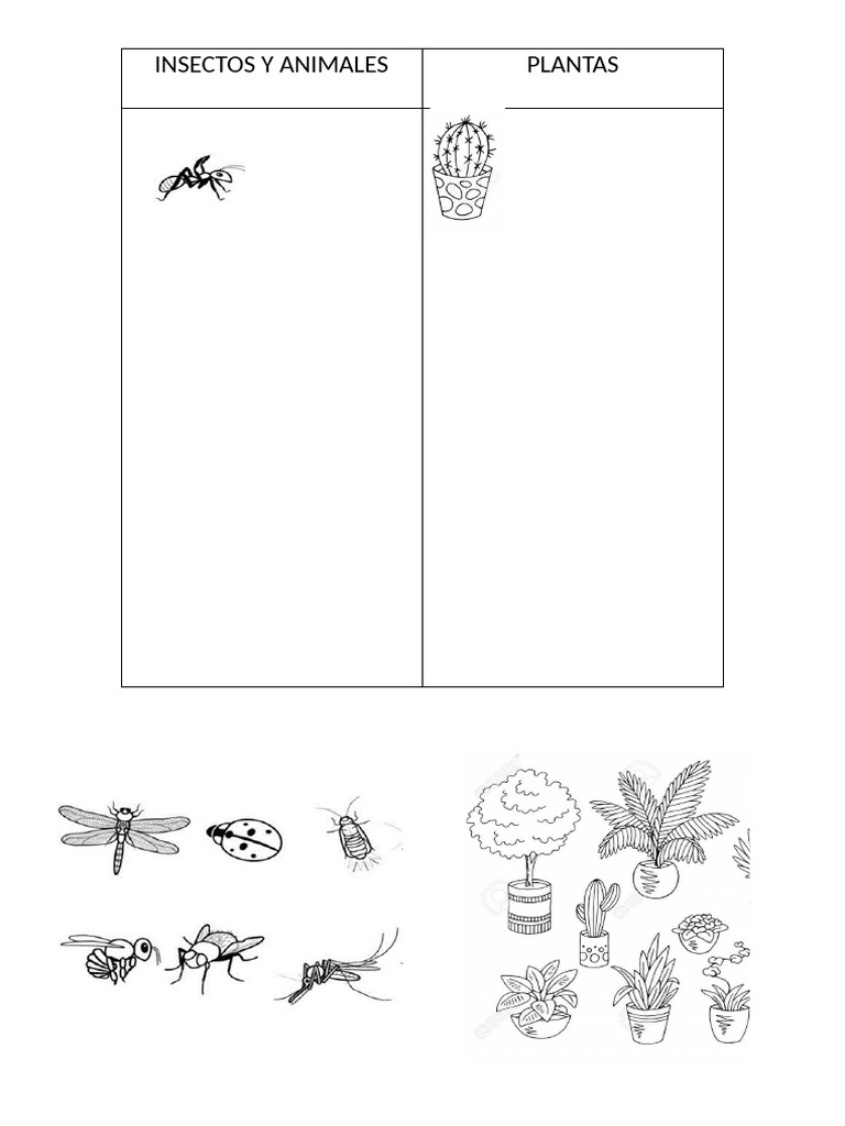 Insectos y Plantas | PDF