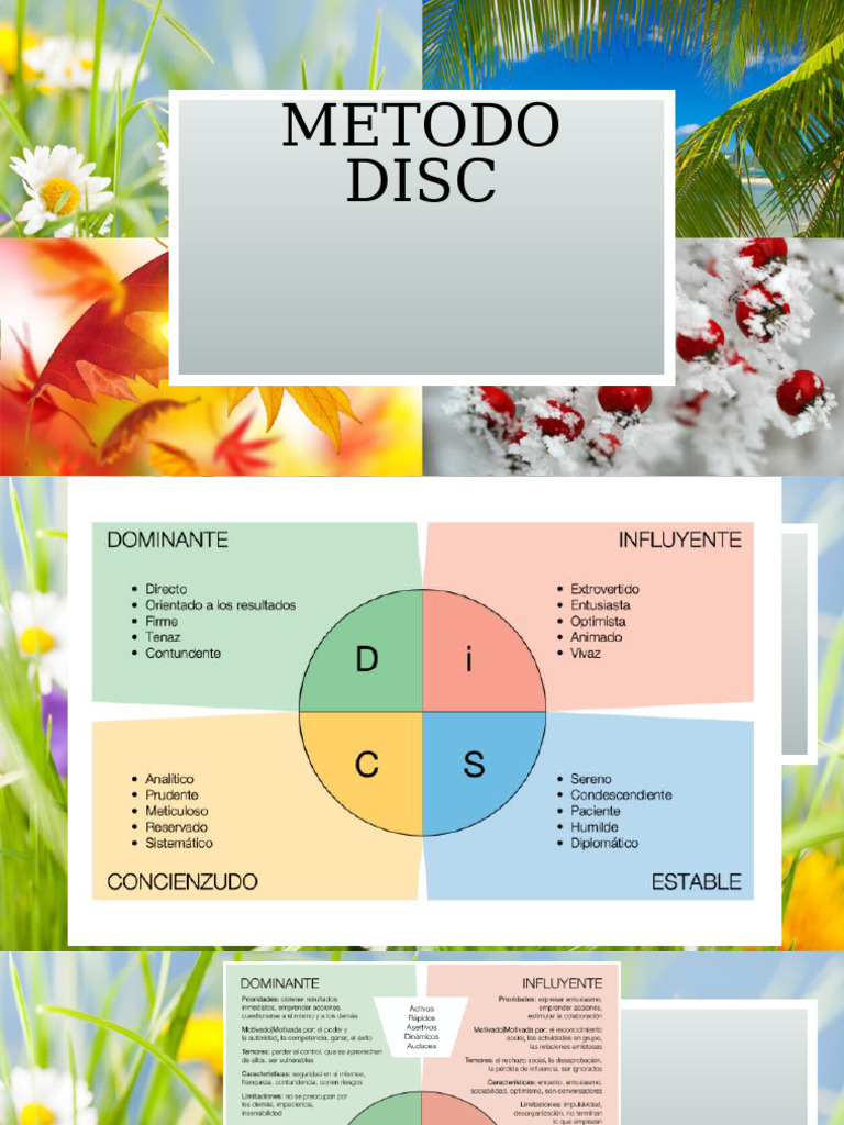 Estilos de Personalidad DISC Desglosados | PDF