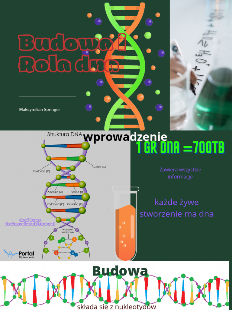 Budowa Dna | PDF