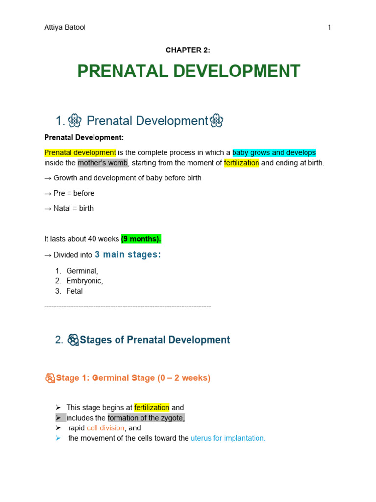 Prenatal Development (Notes) | PDF | Genotype | Embryo