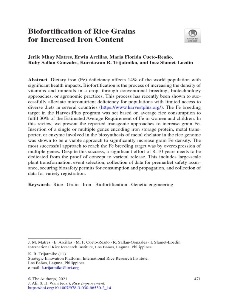 Biofortification of Rice Grains For Increased Iron Content Bi5iadvdnr ...