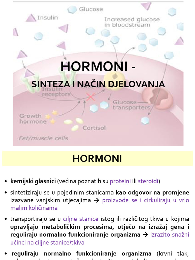 Hormoni 2024 | PDF