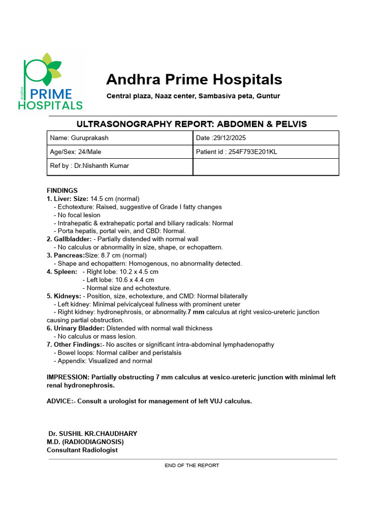 Abdomen & Pelvis Ultrasound Report | PDF