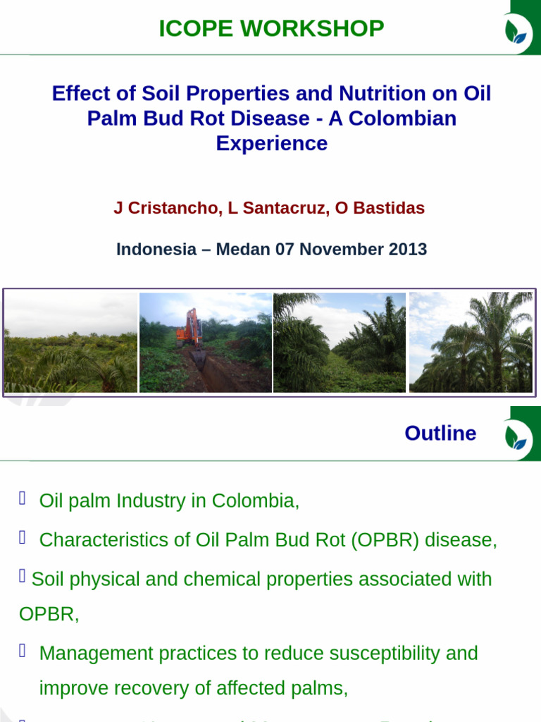 Soil Impact on Oil Palm Bud Rot in Colombia | PDF | Soil | Plant Nursery
