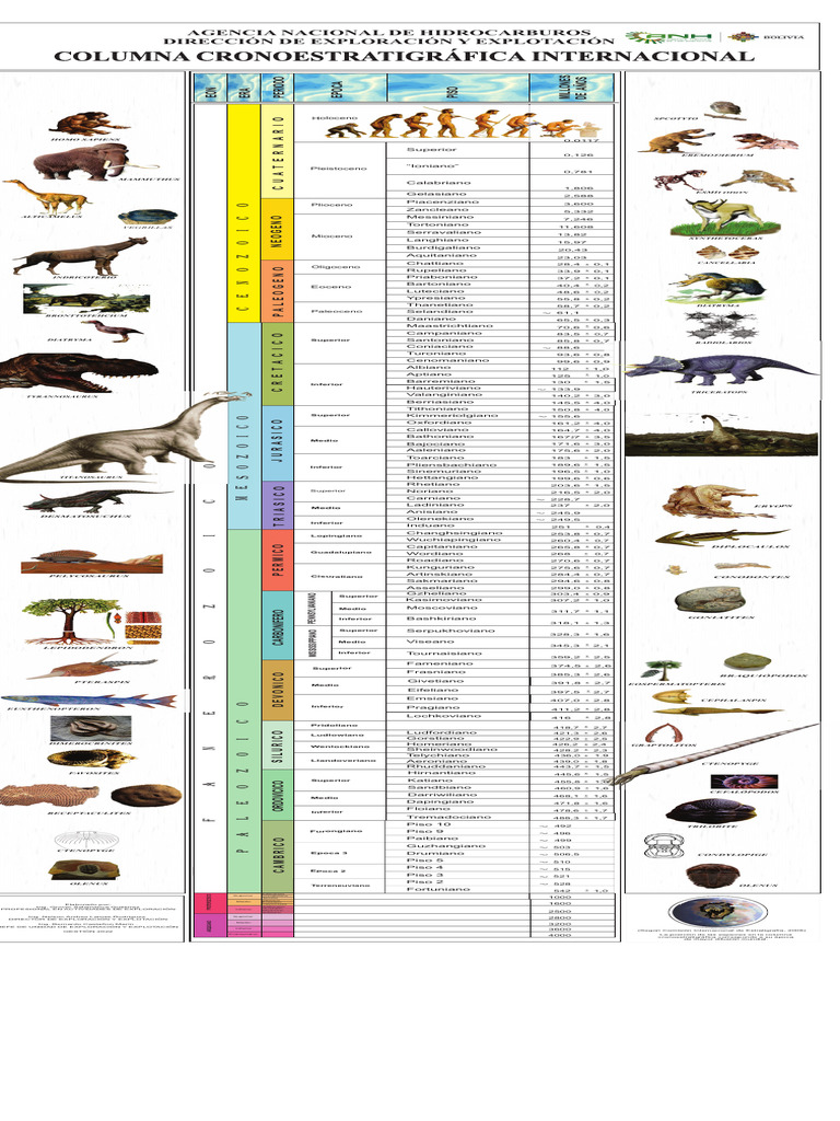Cronoestratigrafía Internacional Detallada | PDF | Stratigraphy ...