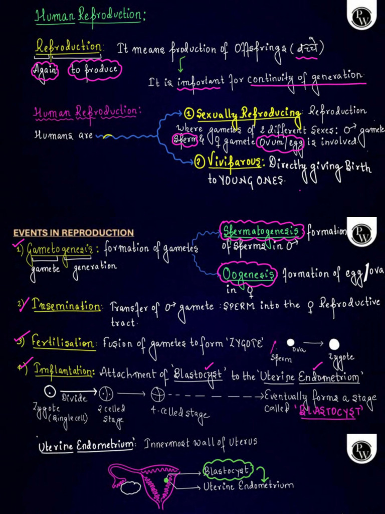 Human Reproduction | PDF