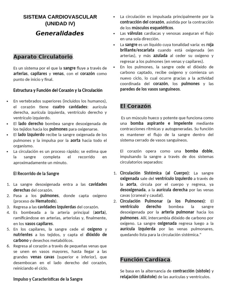 SISTEMA CARDIOVASCULAR GUIA POA Guía de Anatomia | PDF | Sistema ...